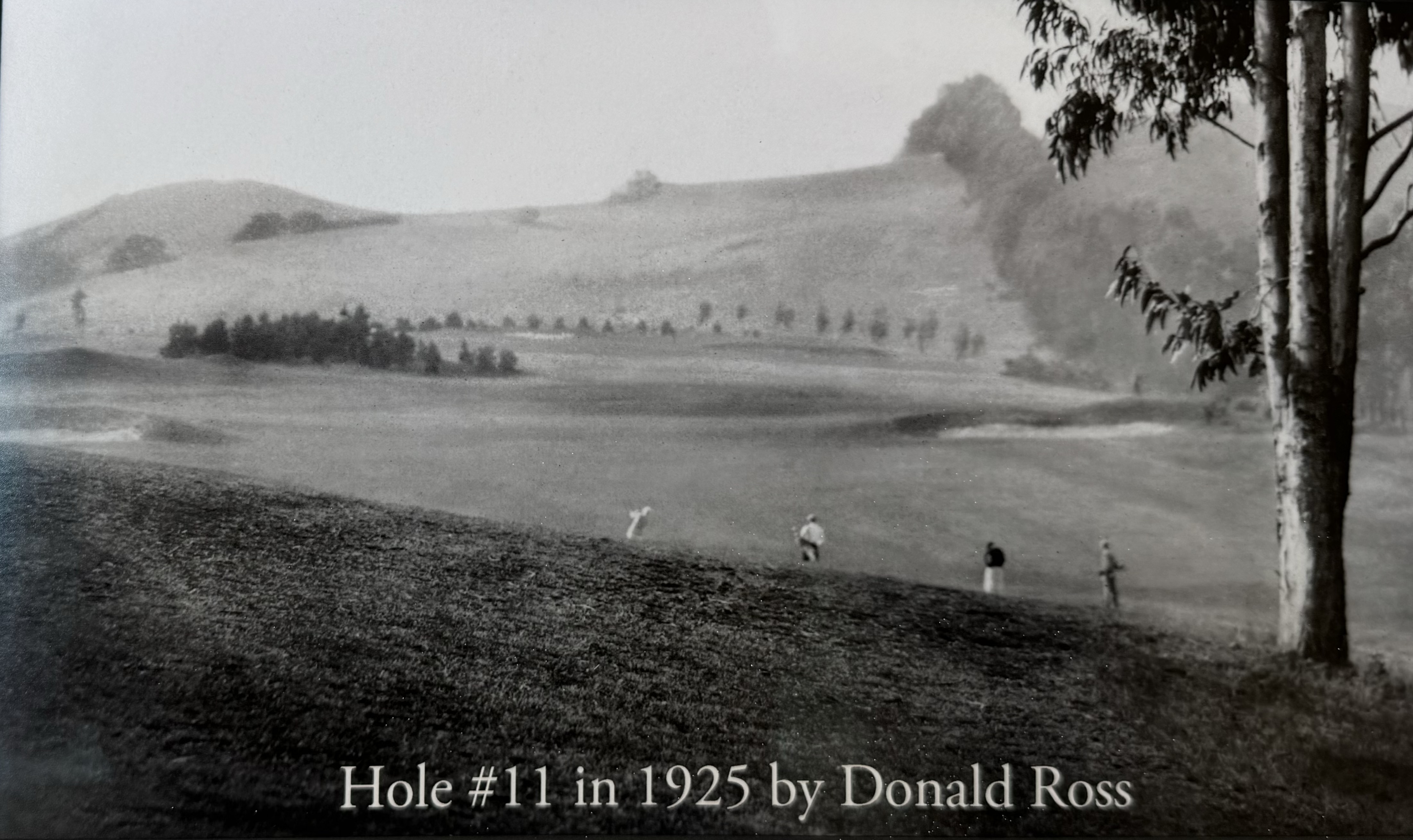 Hole 11 1925 – Tyler J. Rae